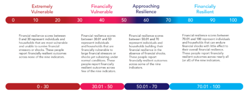 Financial Resilience Index Model - Financial Resilience Institute