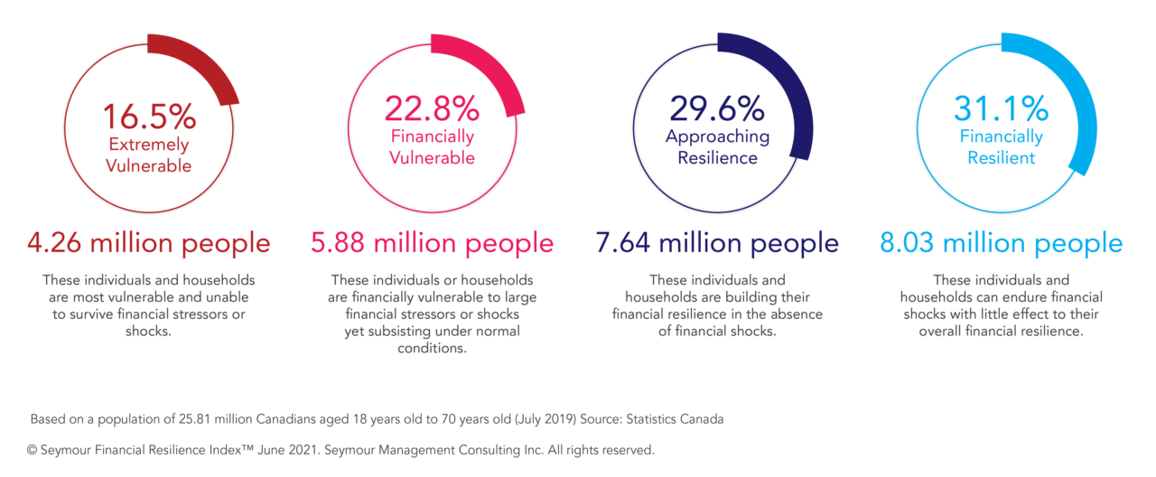 Seymour Financial Resilience Index TM | Financial Health Index study