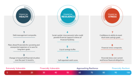Indicators & Scoring Model | Financial Resilience Institute