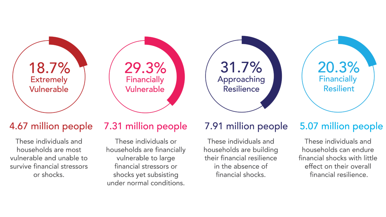 Indicators and Scoring Model - Financial Resilience Institute