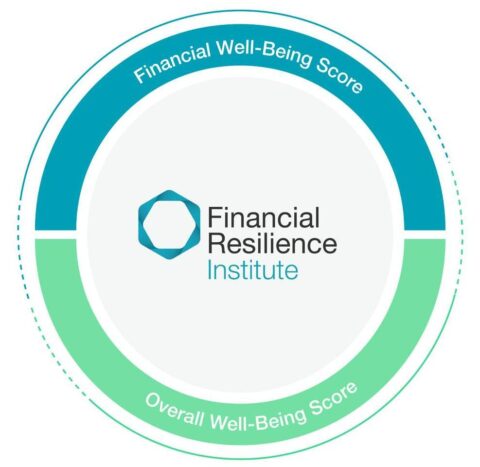 Financial Well-Being Model and Score - Financial Resilience Institute