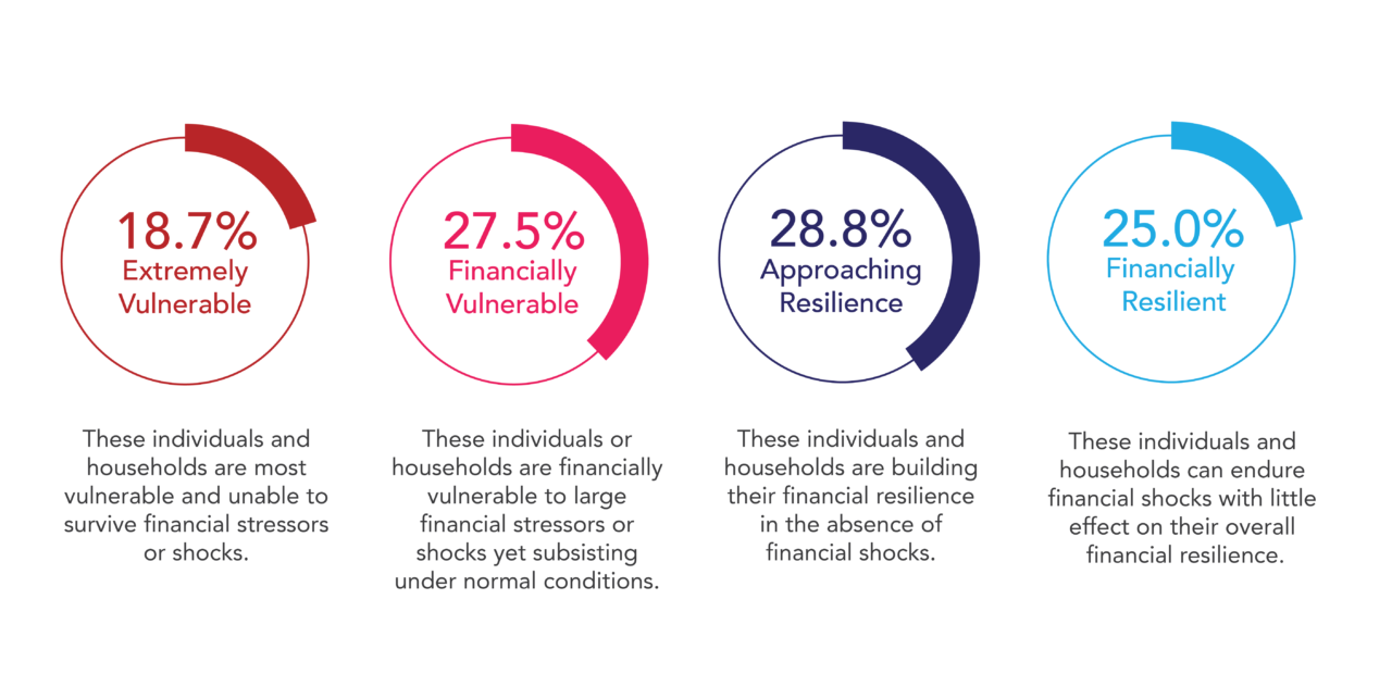 Indicators & Scoring Model | Financial Resilience Institute