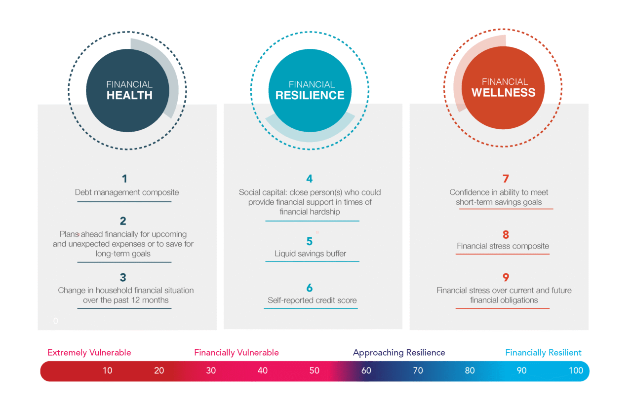 Financial Resilience Index Model - Financial Resilience Institute
